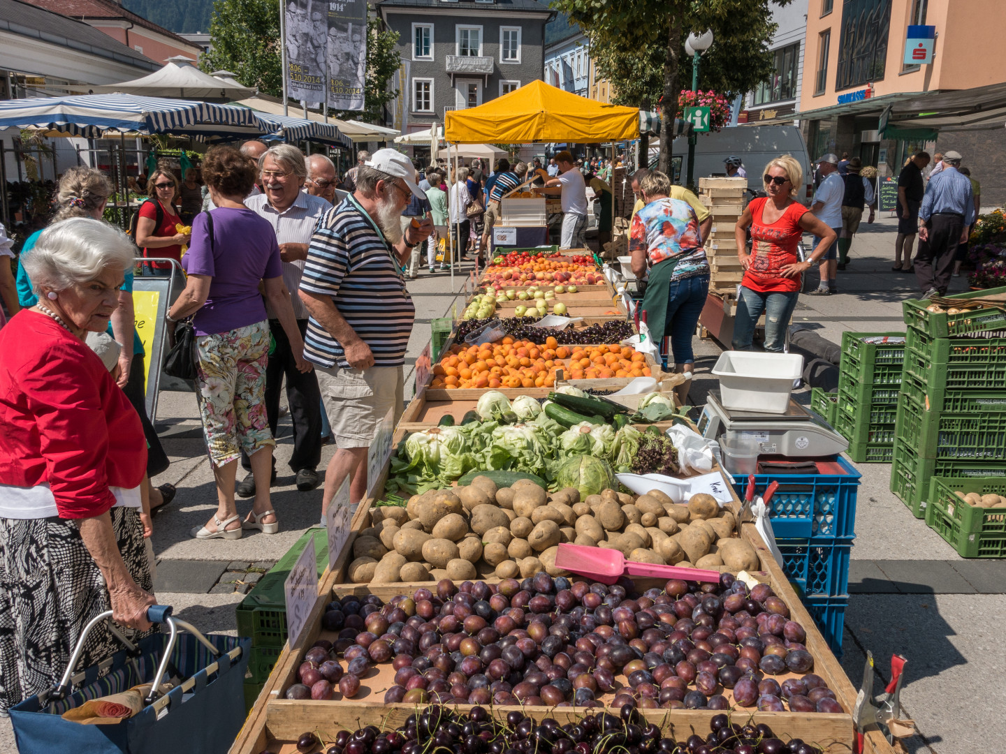 Beste Biopreise beim Bauernmarkt - Blick ins Land