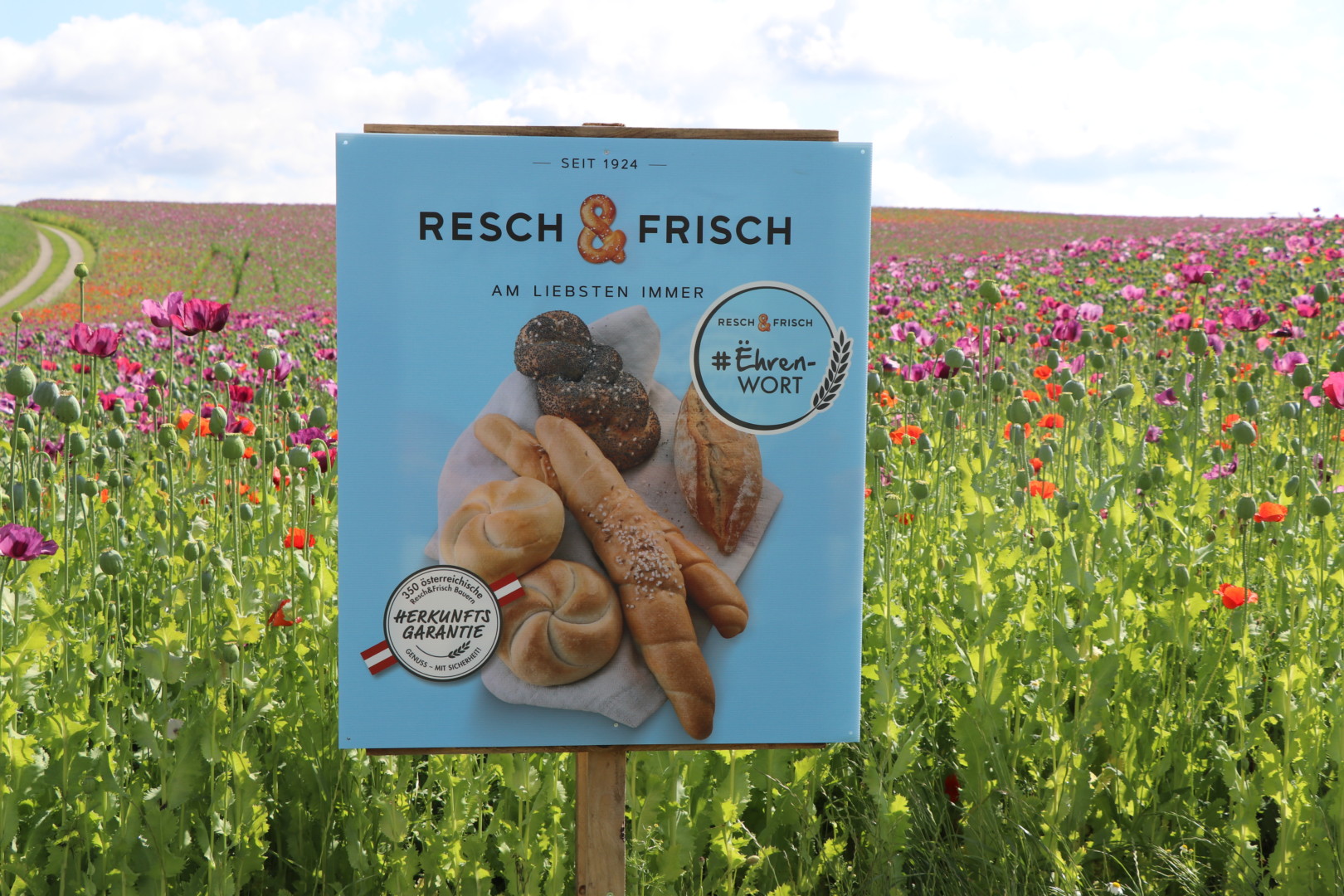 Resch&Frisch garantiert Top-Qualität - Blick ins Land