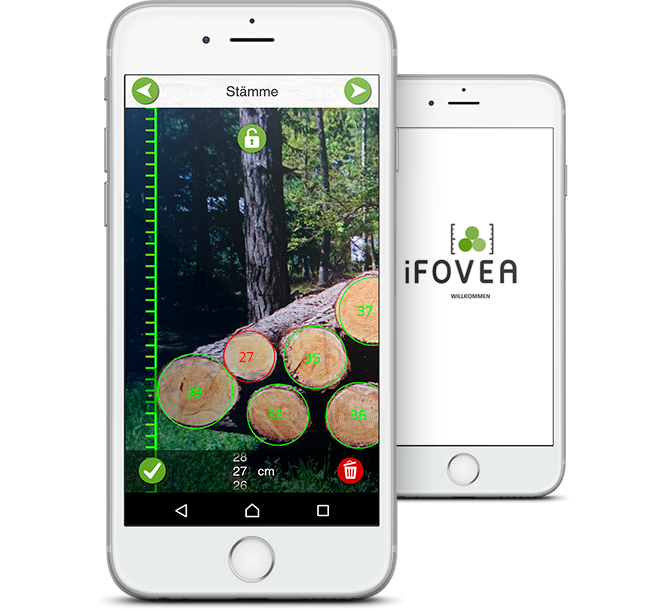 FMM übernimmt Startup treeva - Blick ins Land