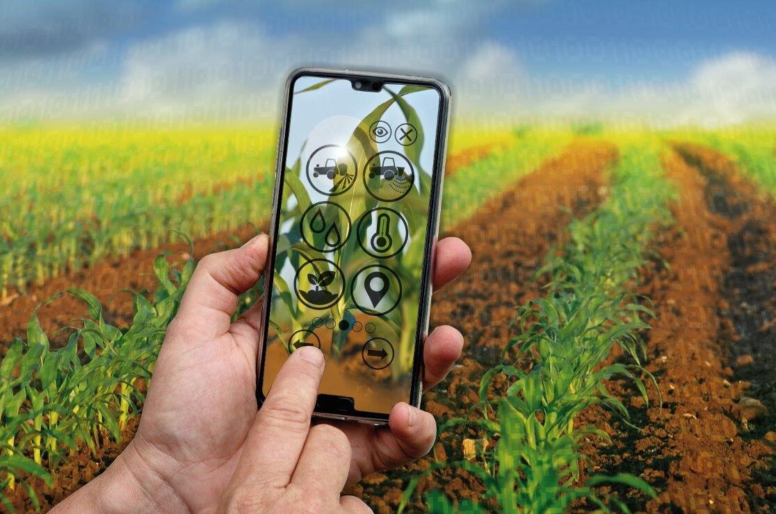 Digitalisierung in der modernen Landwirtschaft - Blick ins Land